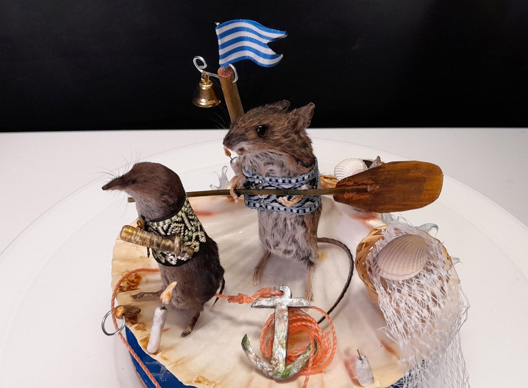 Taxidermy Woodland Mouse and Shrew, Paddling in a Clam Shell With an ...