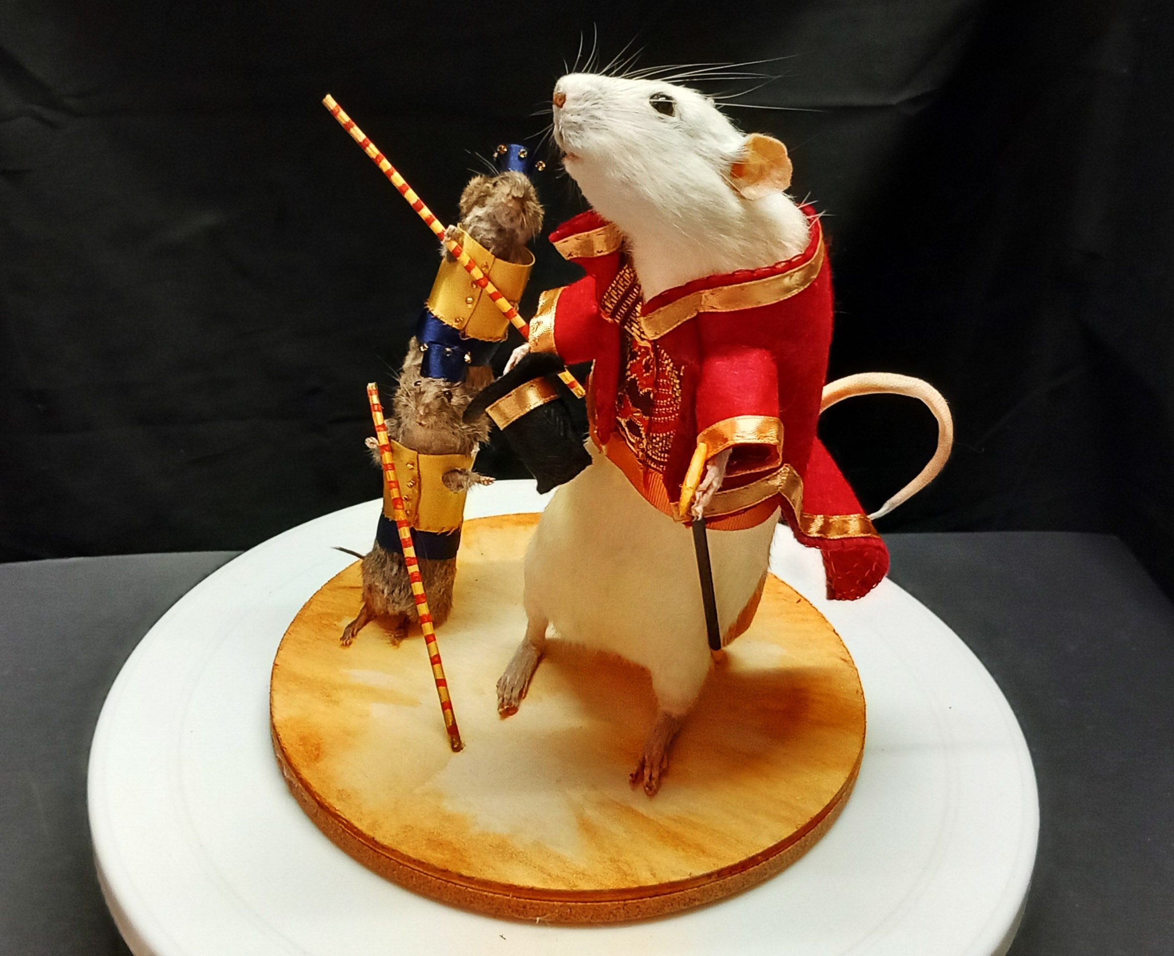 Taxidermy Circus Ring Master Rat With Two Vole Acrobats - Etsy