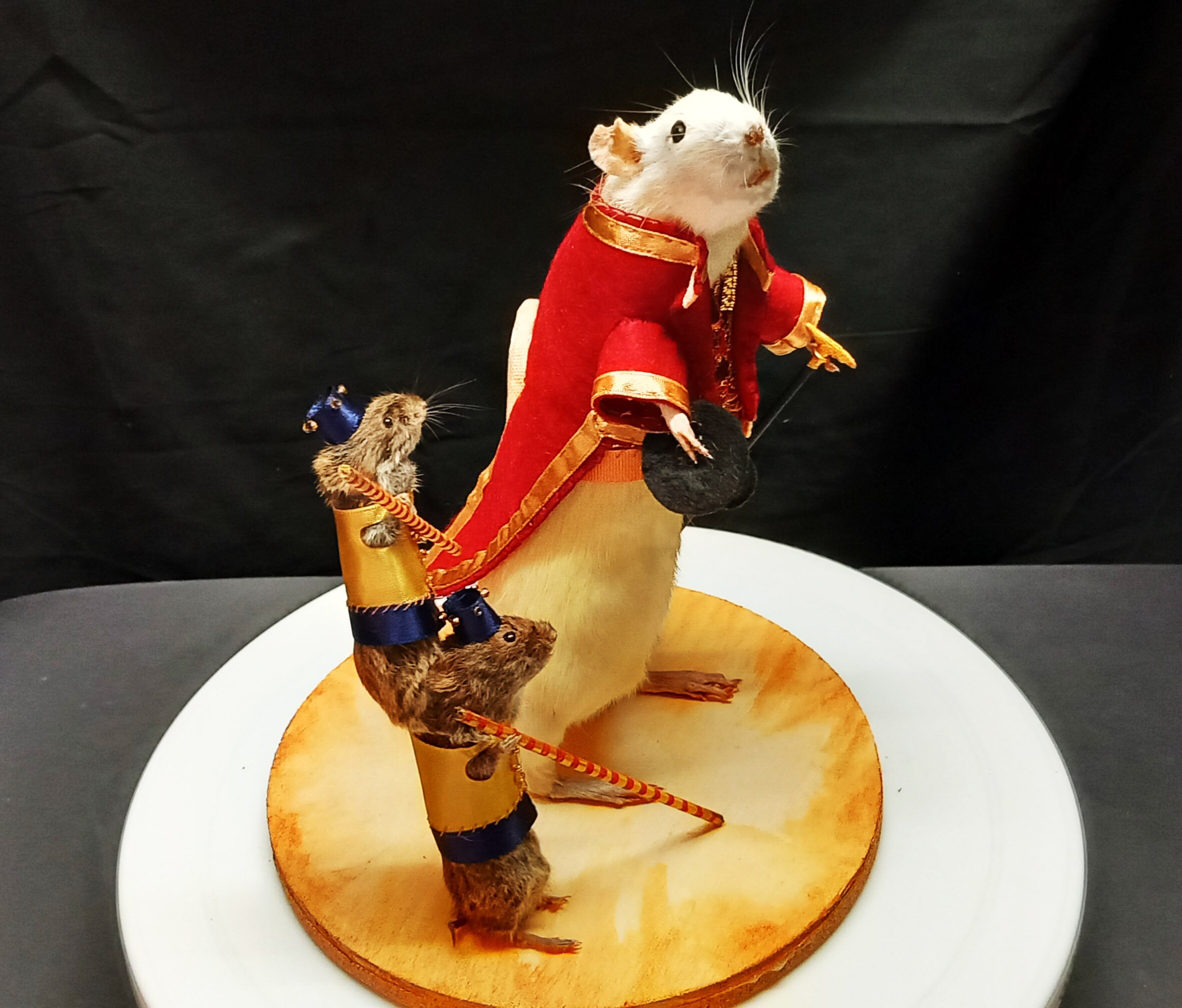 Taxidermy Circus Ring Master Rat With Two Vole Acrobats - Etsy