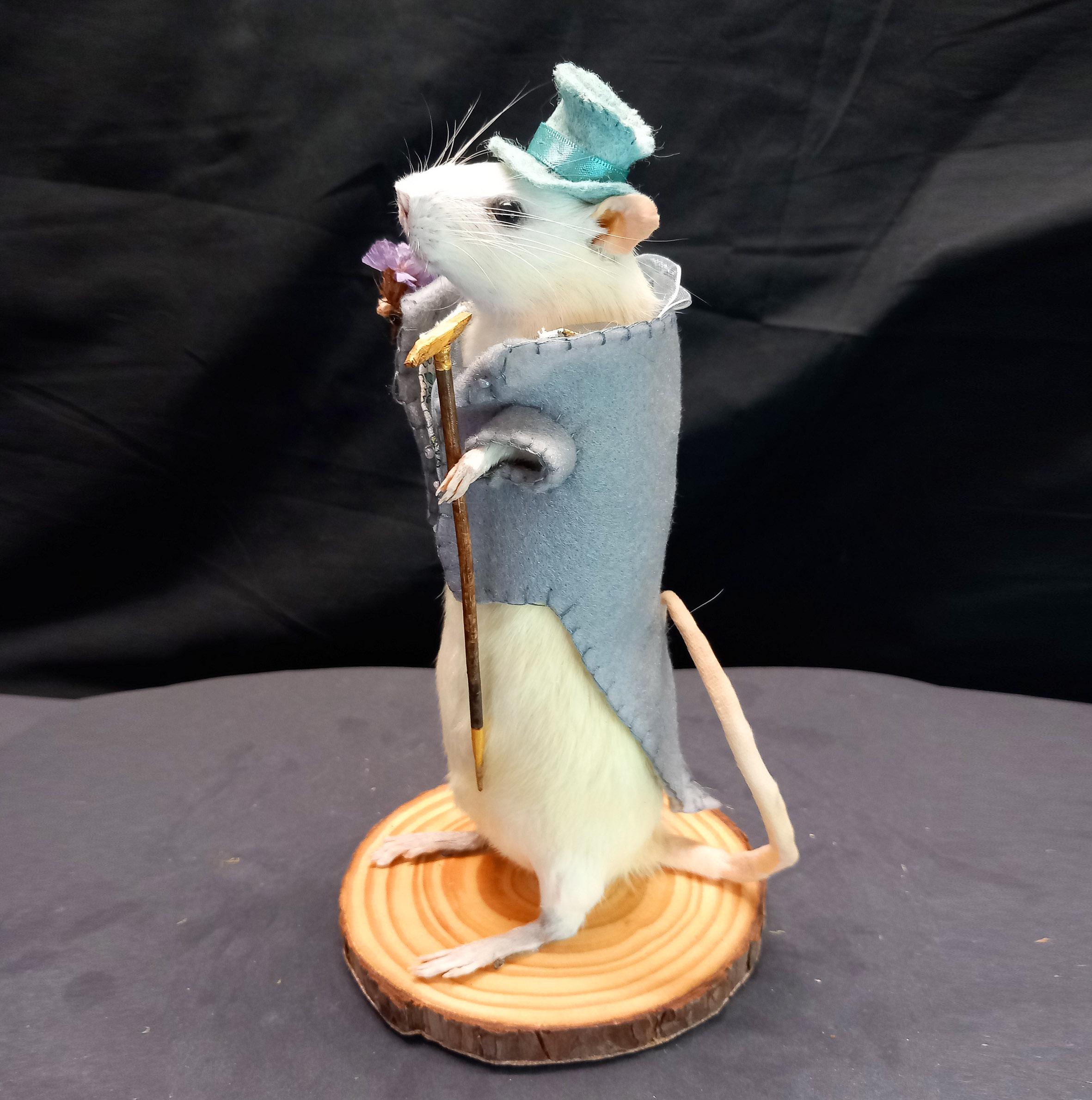 Taxidermy White Rat, Dressed in a Regency Period Waistcoat, Top Hat and ...