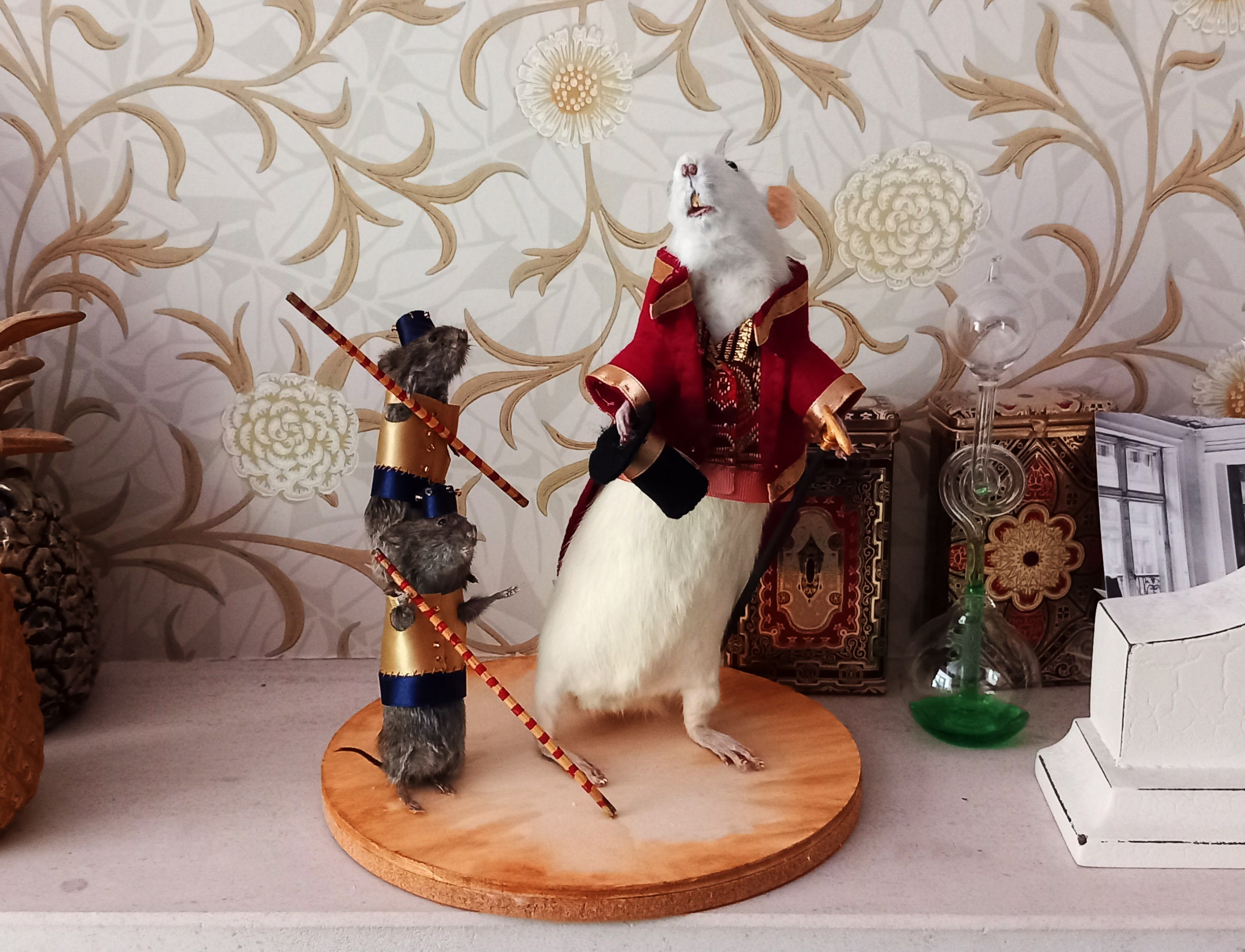 Taxidermy Circus Ring Master Rat With Two Vole Acrobats - Etsy