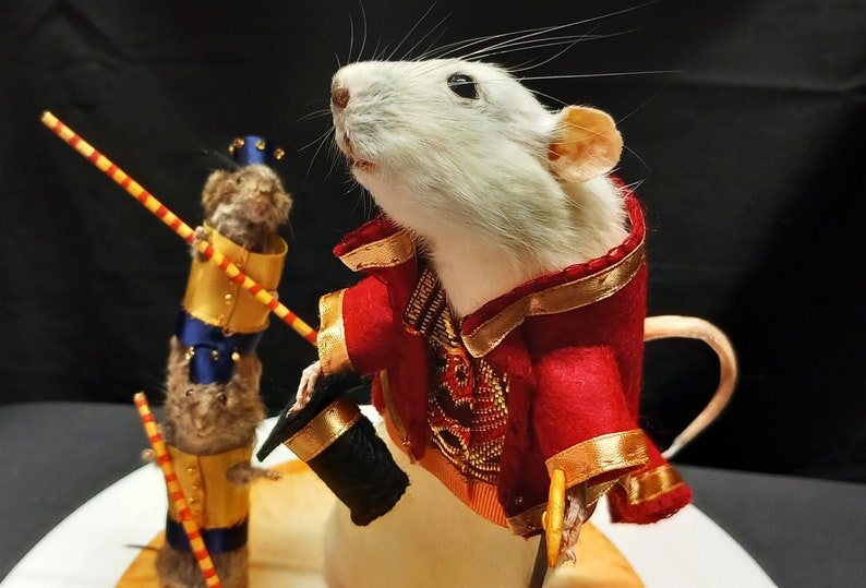 Taxidermy Circus, Ring Master Rat With Two Vole Acrobats, Dressed in ...