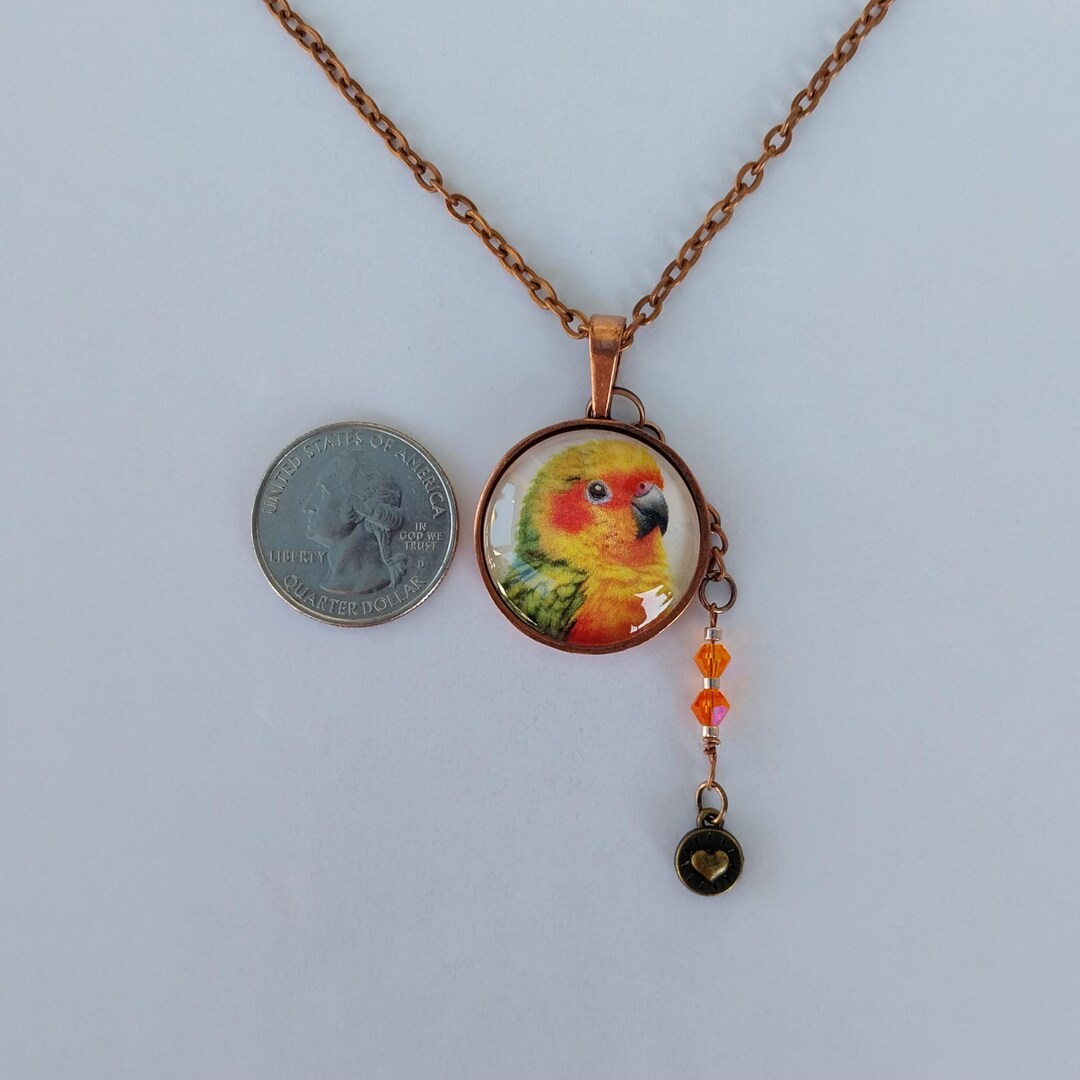 Pineapple Conure, Sun Conure Parrot Glass Pendant Necklace With Glass ...