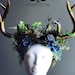 Ram Horn Skull Pagan Viking Ritual Skull Witchcraft Skull Deer Antler ...