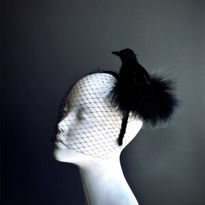 Black Crow Fascinator Halloween Fascinators Bird Fascinator, Bird Hat ...