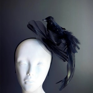 Black Bird Fascinator Rook Raven Crow Bird Hat - Etsy