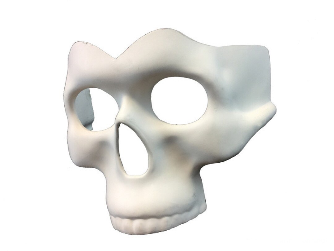 DIY MASKS Skull Masks, Do It Yourself Projects, Blank Skull Masks Ready ...