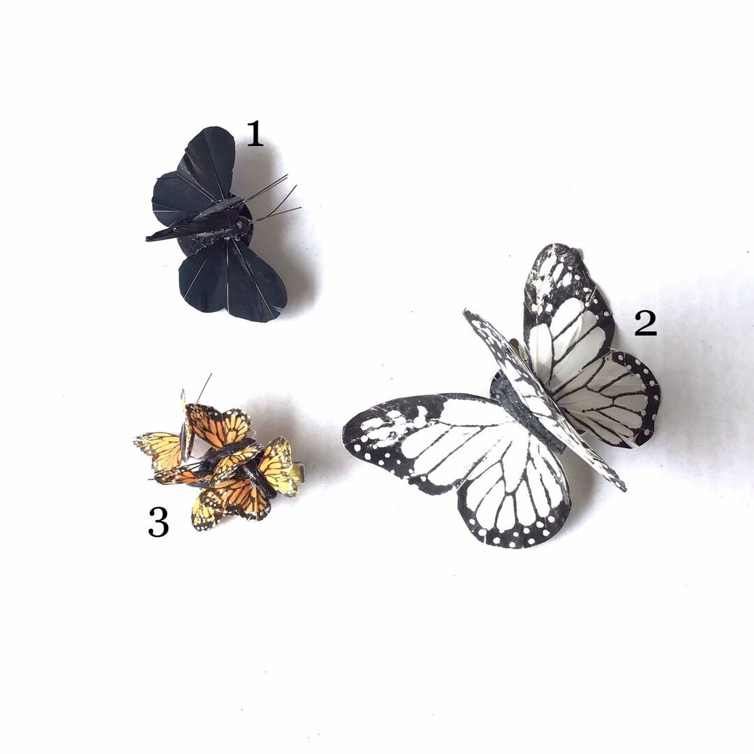 Colorful Butterfly Clips for All Occasions, Hair Accessories for Adult ...