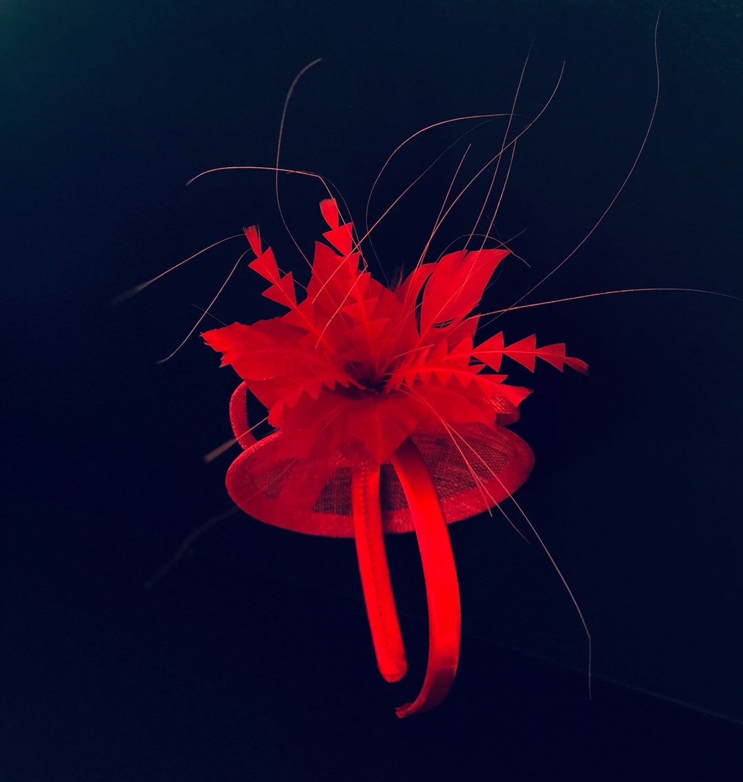 Red Tea Party Hats Fascinator Hat Derby Hat Feather Accented Hat Church ...