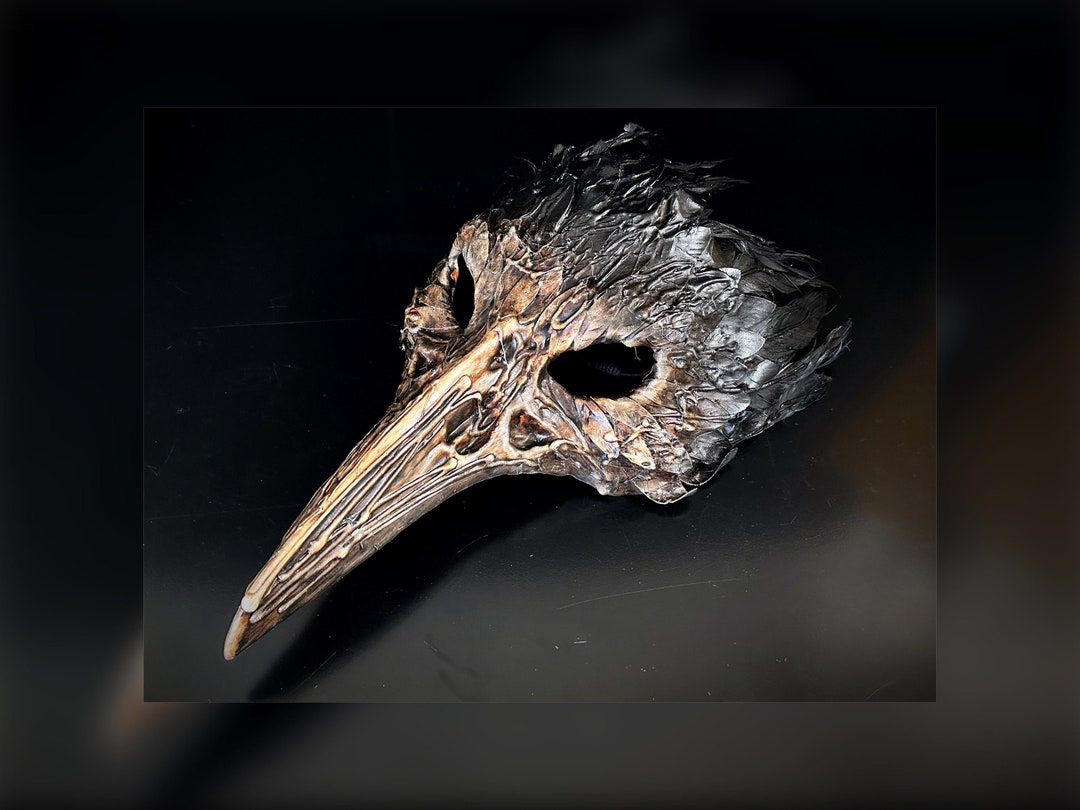 Plague Doctor Mask, Costume Party, Masquerade Mask, Raven Skull, Bird ...