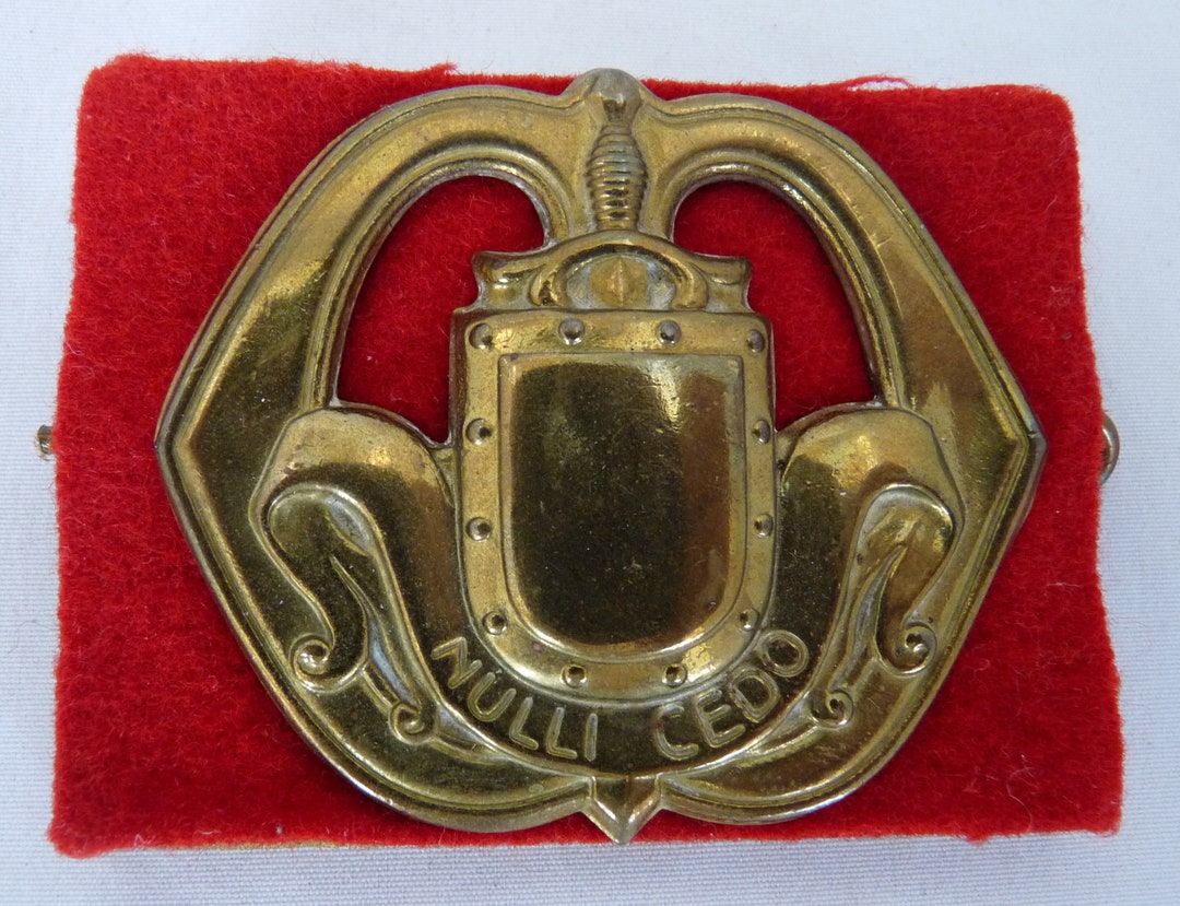 Vintage Netherlands Dutch Army Infantry Brass Cap Badge Red Background ...