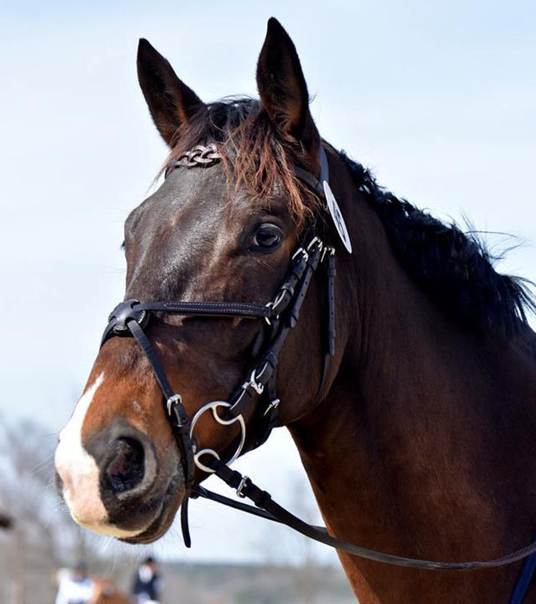 Bridle Browband in Leather, Celtic Knot, Fancy Browband for Dressage ...