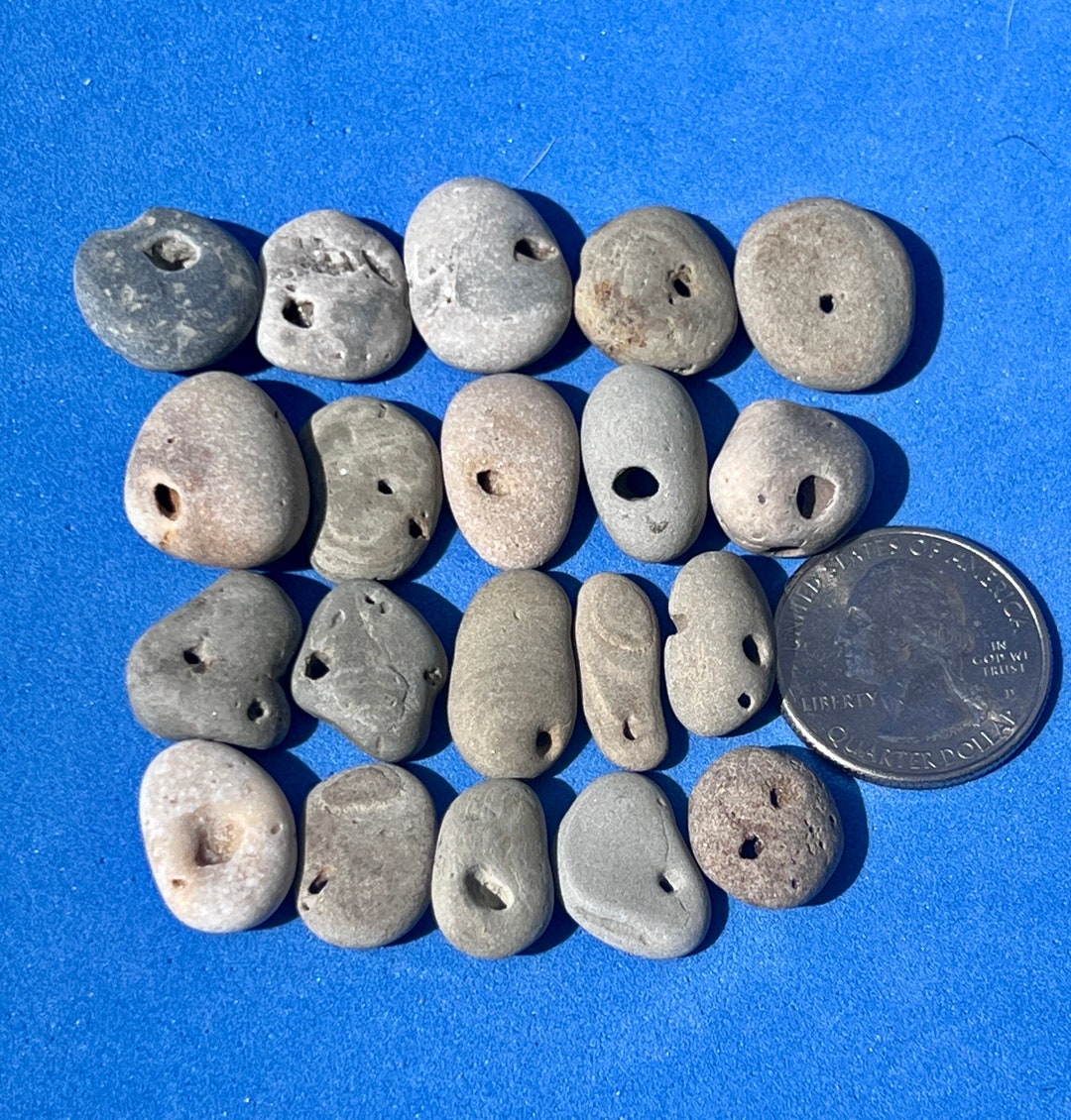 Lot of 20 Hag Stones Holey Stones Natural Holed Beach Stones Jewelry ...