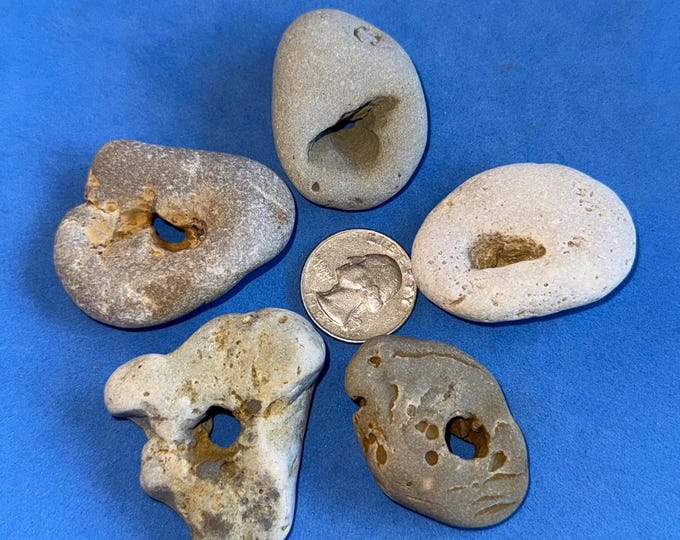 Lot of 5 Hag Stones / Holey Stones/adder Stones / Stones With Holes ...