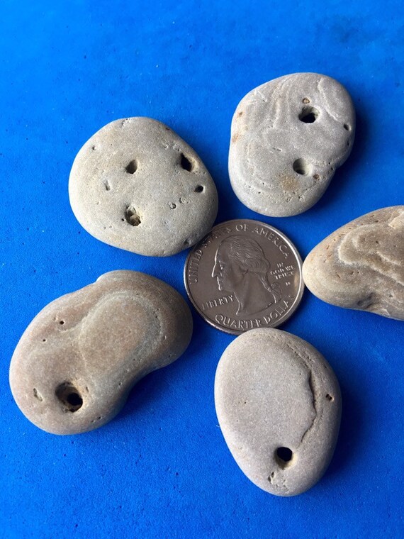 Office Paperweights Lot of 5 Hag Stones Holey StonesAdder Stones Stones ...