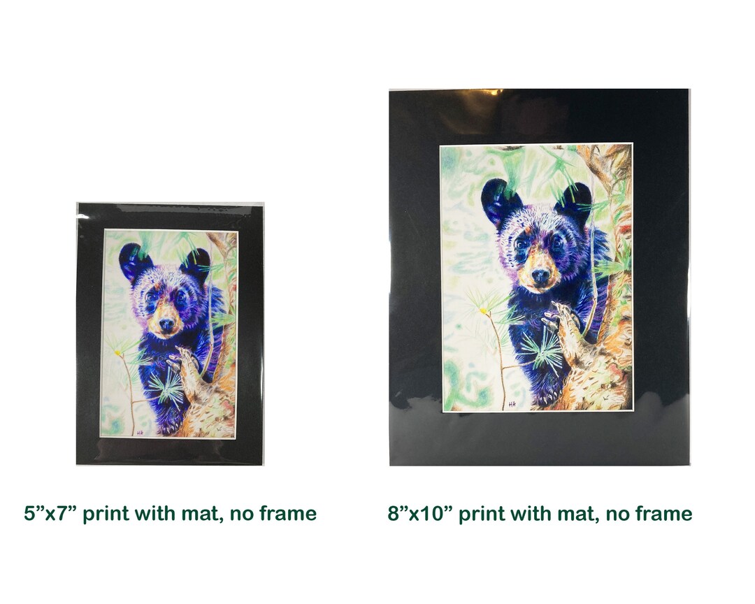 Bear Cub Color Pencil Drawing Matted Artwork Painting - Etsy