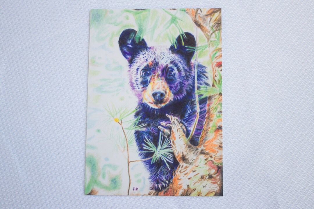 Bear Cub Color Pencil Drawing Print Art Black Bear - Etsy