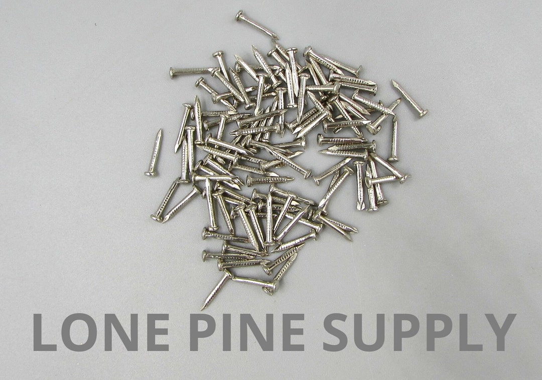 100 Steel Nails. Small Nails, 3/8 Inch Steel Nails, Hobby Nails, Small ...