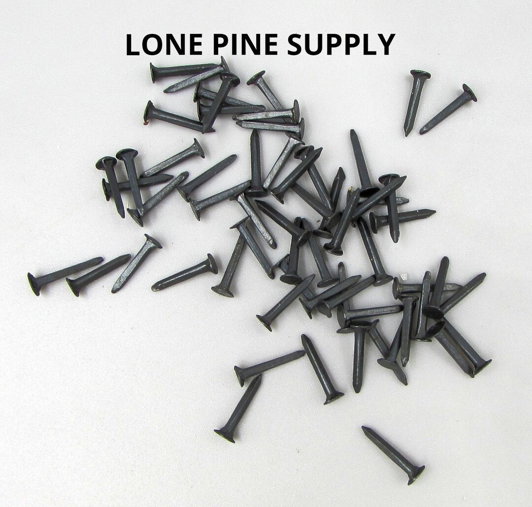 50 7\16 Inch Shoe Peg Nails. Small Black Square Nails, 7/16 Inch Square ...