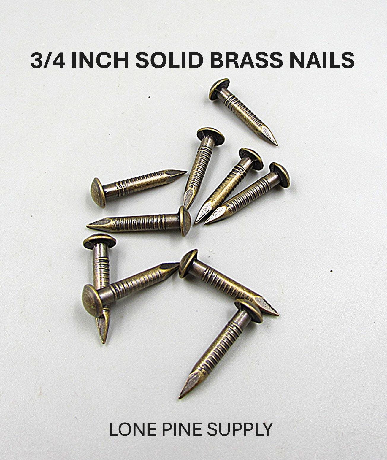 10 Antique Solid Brass Nails. Small Antique Brass Nails, 3/4 Inch Brass ...