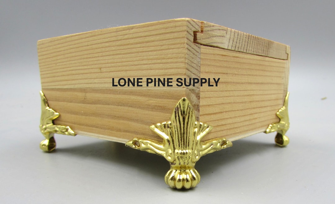 4 Polished Brass Claw Feet, Claw Feet, Box Feet, Polished Brass Plated ...