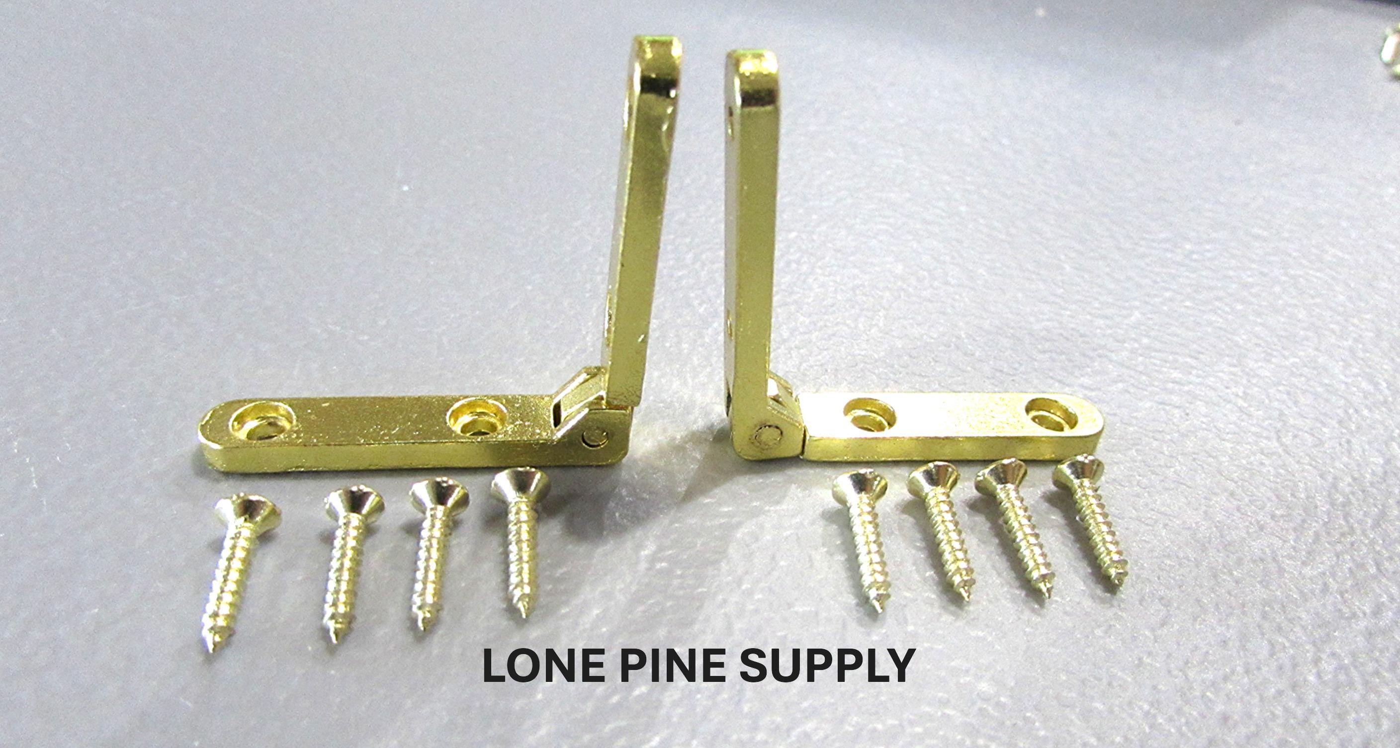 1 Pair Polished Brass Jewelry Box Hinges, Mortise Hinges, 1 1/4 Inch ...