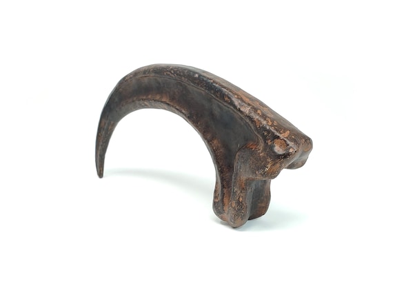 Raptor Claw Jurassic Park
