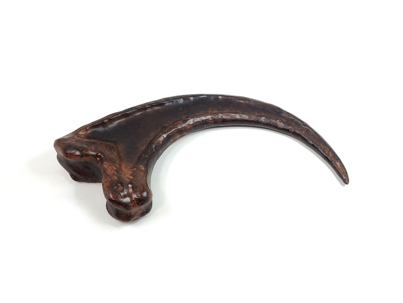 Jurassic Park Velociraptor Claw Raptor Claw Solid Resin - Etsy