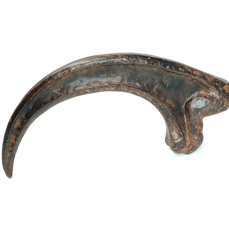 Raptor Claw - Etsy
