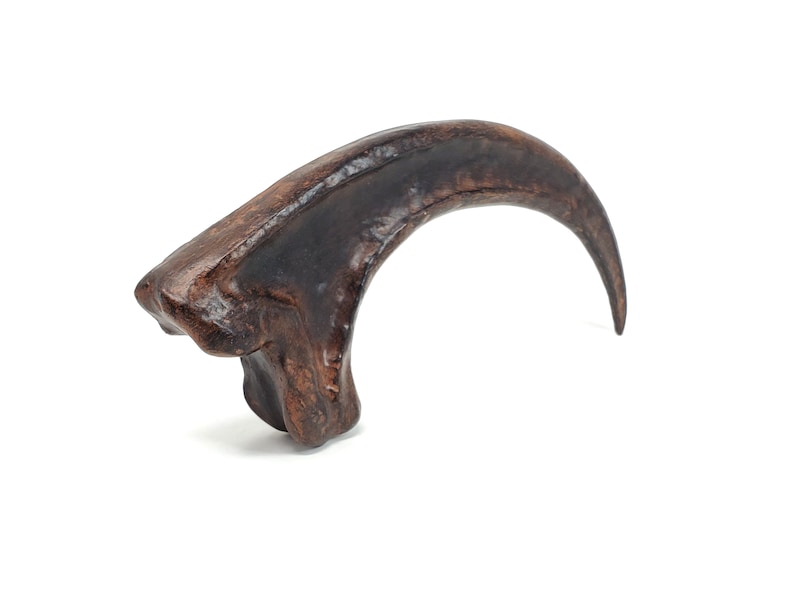 Jurassic Park Velociraptor Claw Raptor Claw Solid Resin - Etsy