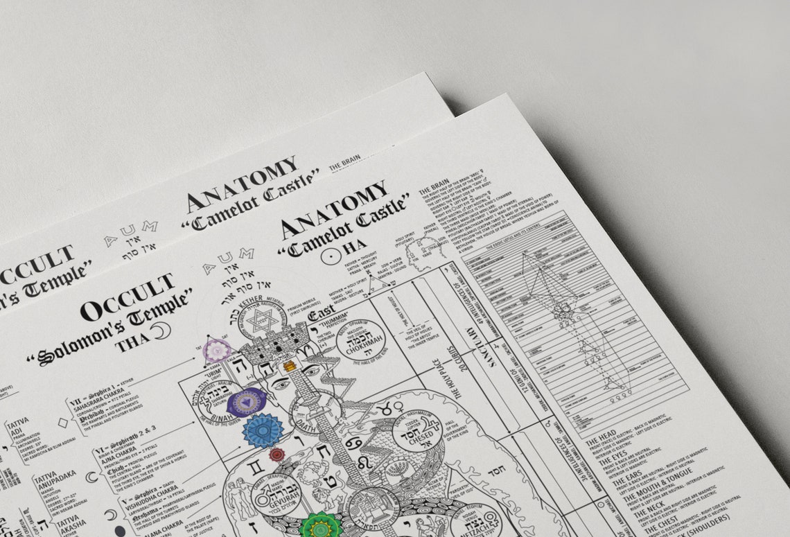 Occult Anatomy 2020 - Large Occult Poster (24x36), Occult Illustration ...