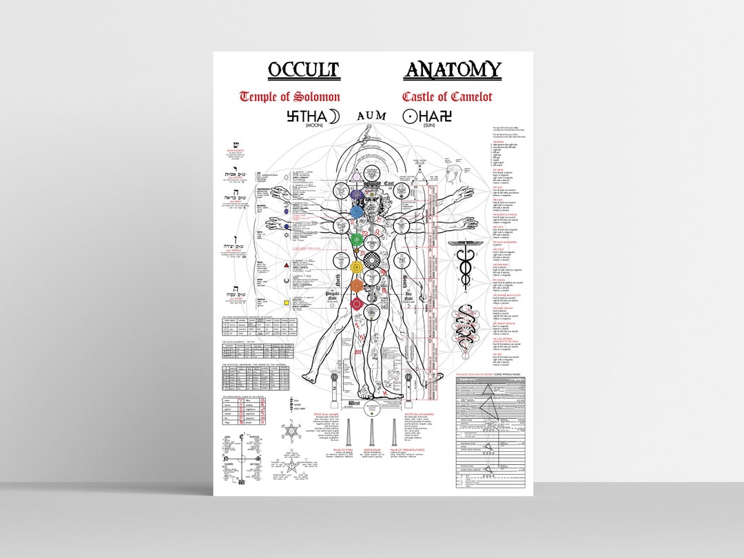 Occult Anatomy Extra Large Occult Poster 36x48 Occult - Etsy