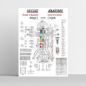 Occult Anatomy Extra Large Occult Poster 36x48 Occult - Etsy