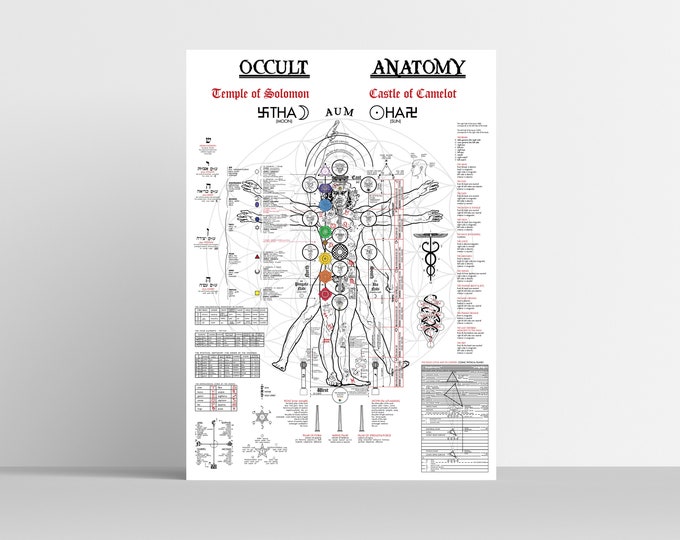 Occult Anatomy Extra Large Occult Poster 36x48, Occult Art, Art Print ...