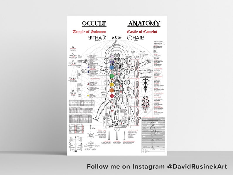 Davidrusinekart - Occult Anatomy (davinci) - Large Occult Poster (24x36 ...