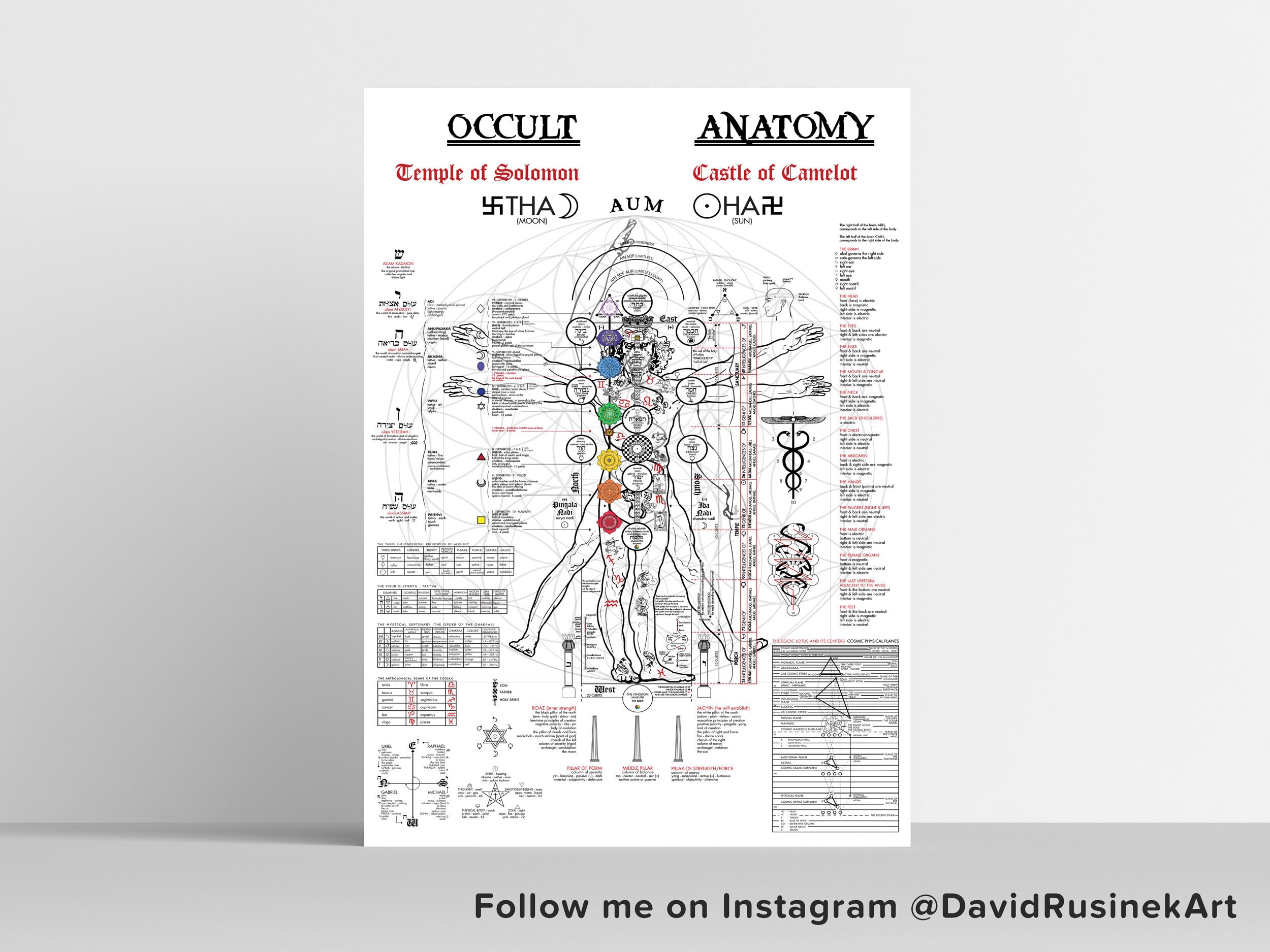 Davidrusinekart Occult Anatomy Large Occult Poster - Etsy Australia