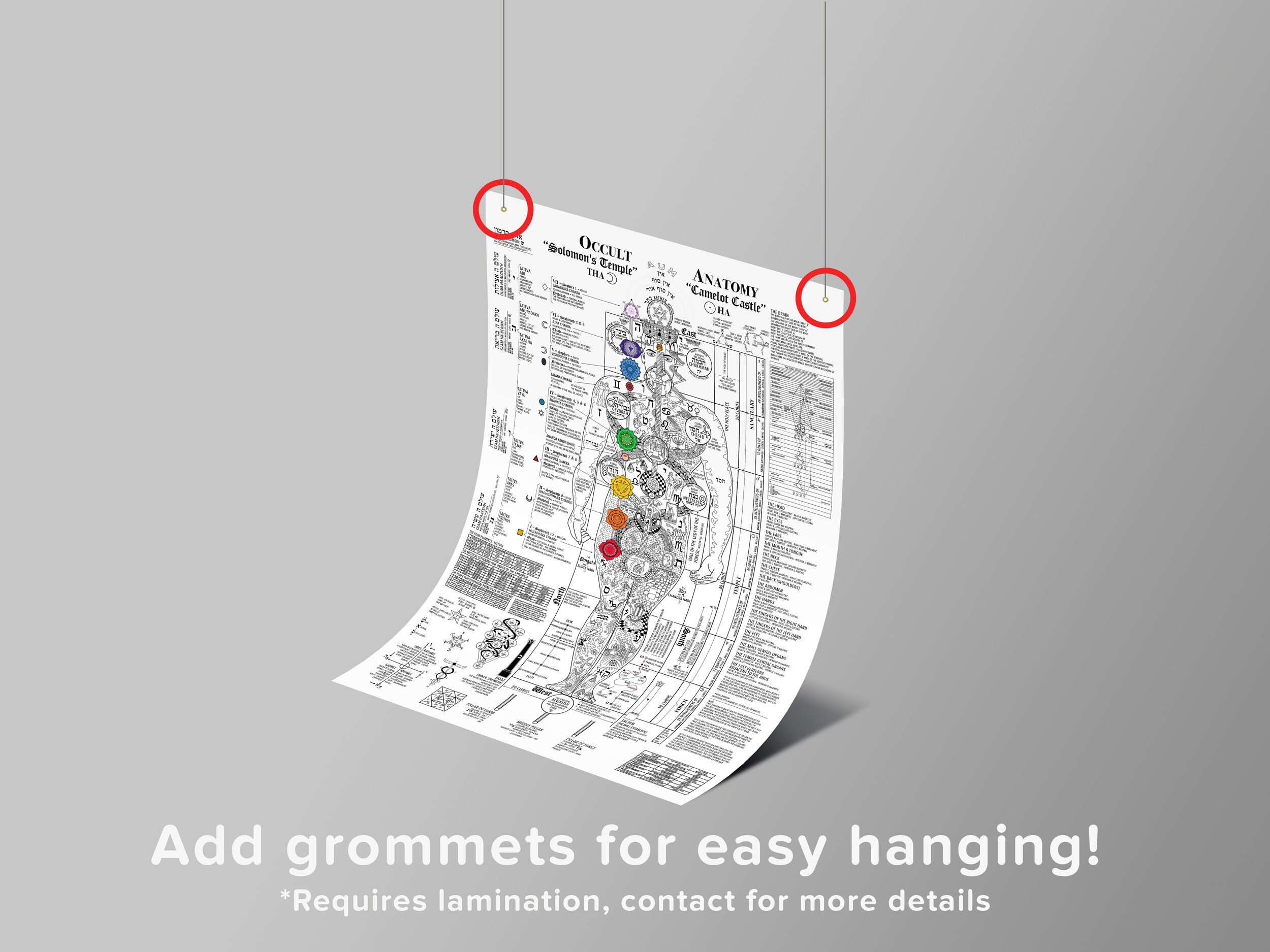 Occult Anatomy 2020 Large Occult Poster 24x36 Occult | Etsy Canada