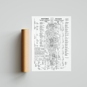 Anatomiae Occultii (portuguese) Digitally Restored Poster (18x24 ...
