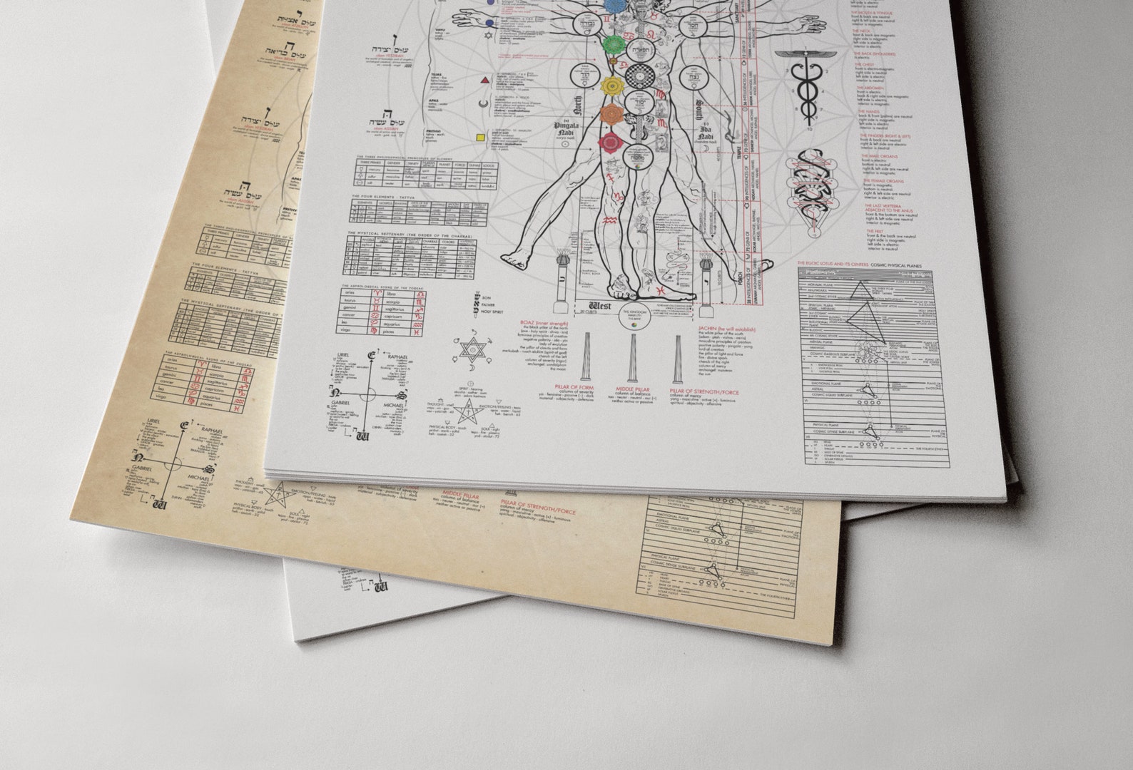 Occult Anatomy Extra Large Occult Poster 36x48 Occult - Etsy