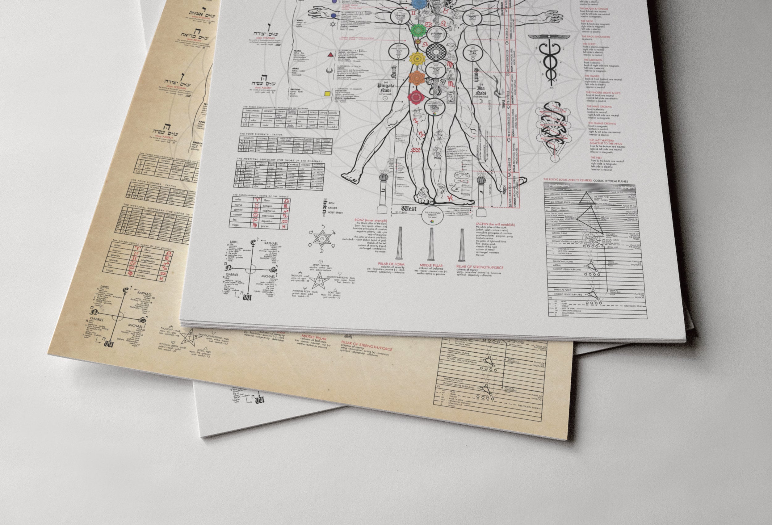 Occult Anatomy Extra Large Occult Poster 36x48 Occult - Etsy