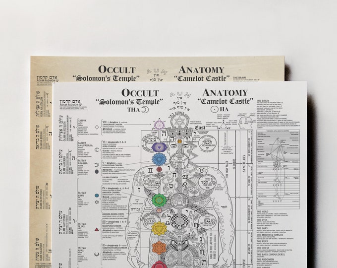 Occult Anatomy 2020 Large Occult Poster 24x36, Occult Illustration ...