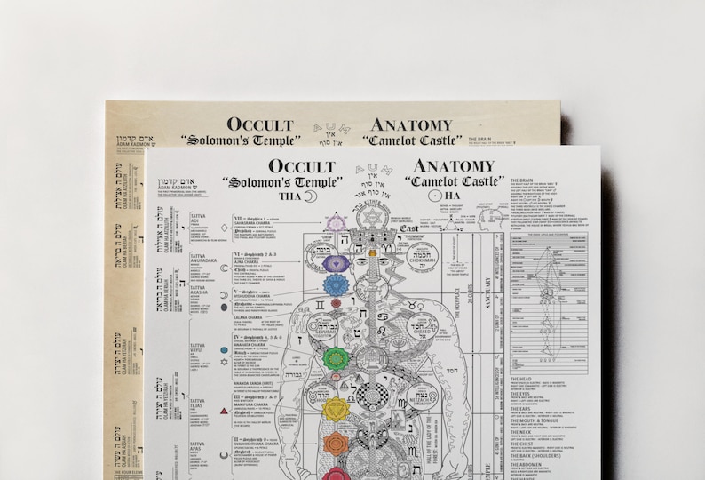 Occult Anatomy 2020 - Large Occult Poster (24x36), Occult Illustration ...