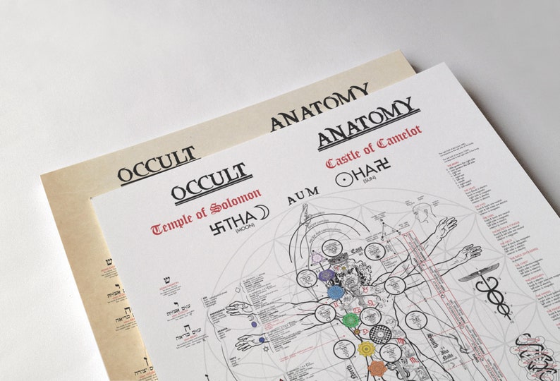 Davidrusinekart - Occult Anatomy (davinci) - Large Occult Poster (24x36 ...