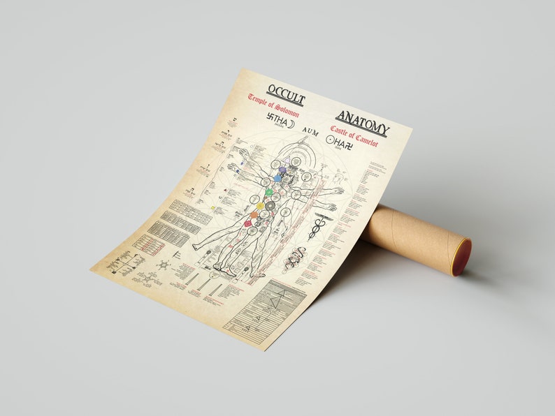 Davidrusinekart - Occult Anatomy (davinci) - Large Occult Poster (24x36 ...
