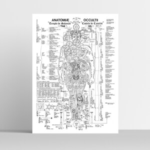 Anatomiae Occultii (portuguese) Digitally Restored Poster (18x24 ...