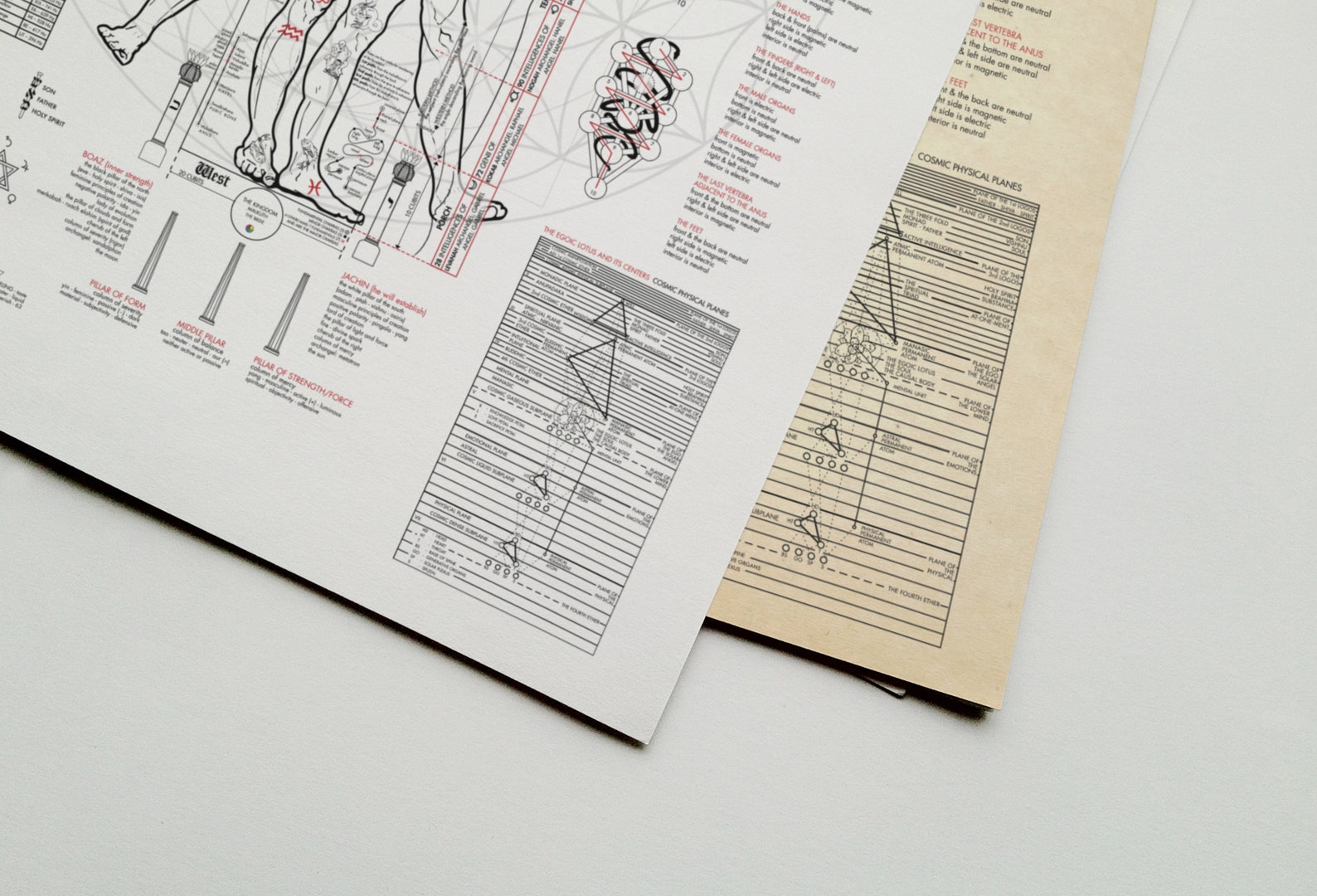 Occult Anatomy Extra Large Occult Poster 36x48 Occult - Etsy