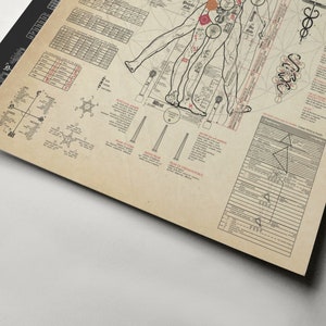 Occult Anatomy Extra Large Occult Poster 36x48 Occult - Etsy