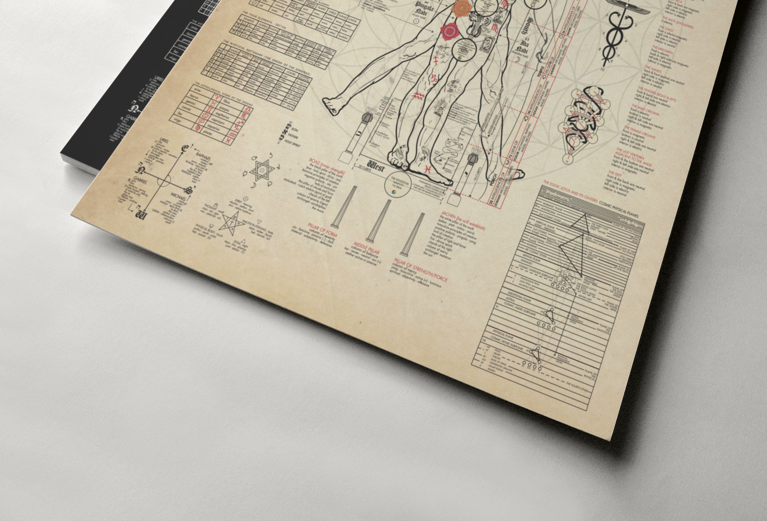 Occult Anatomy Extra Large Occult Poster 36x48 Occult - Etsy