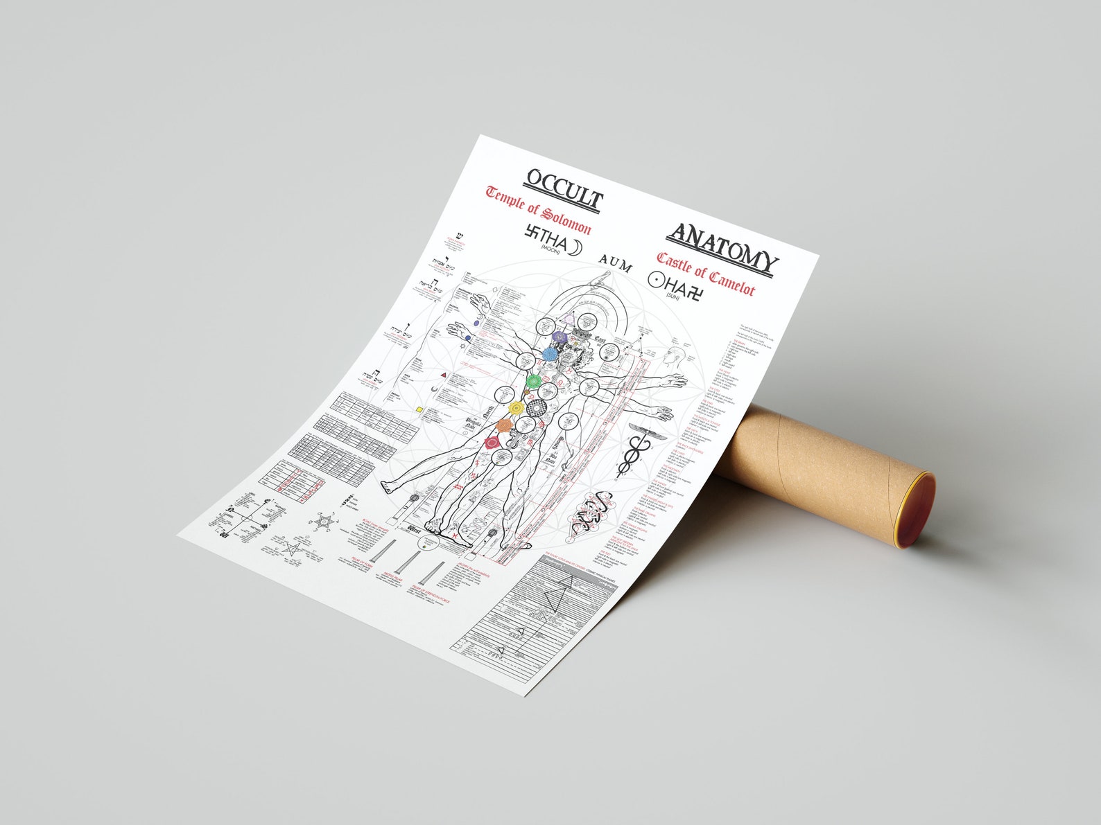 Occult Anatomy Extra Large Occult Poster 36x48 Occult - Etsy