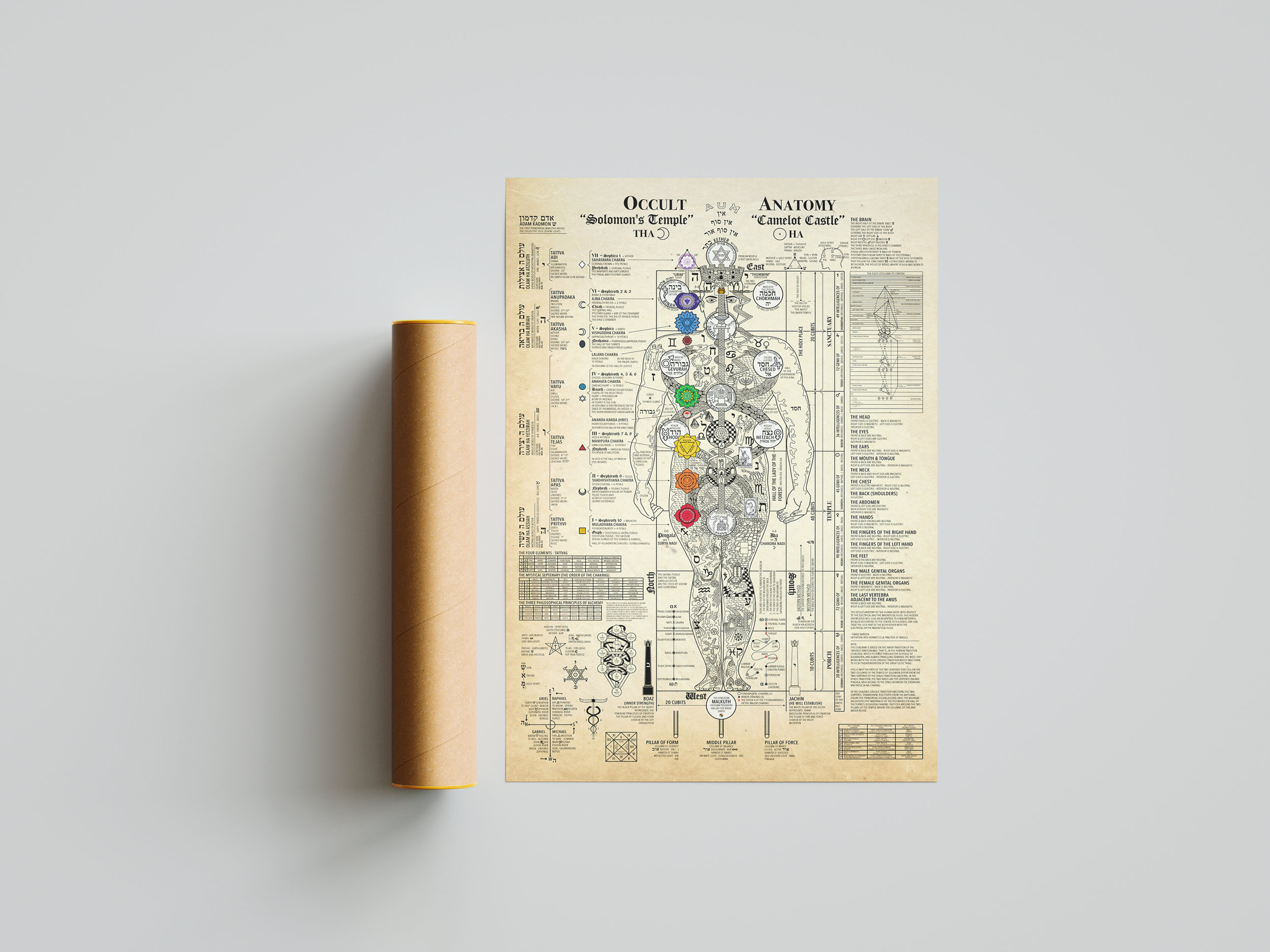 Occult Anatomy 2020 - Large Occult Poster (24x36), Occult Illustration ...